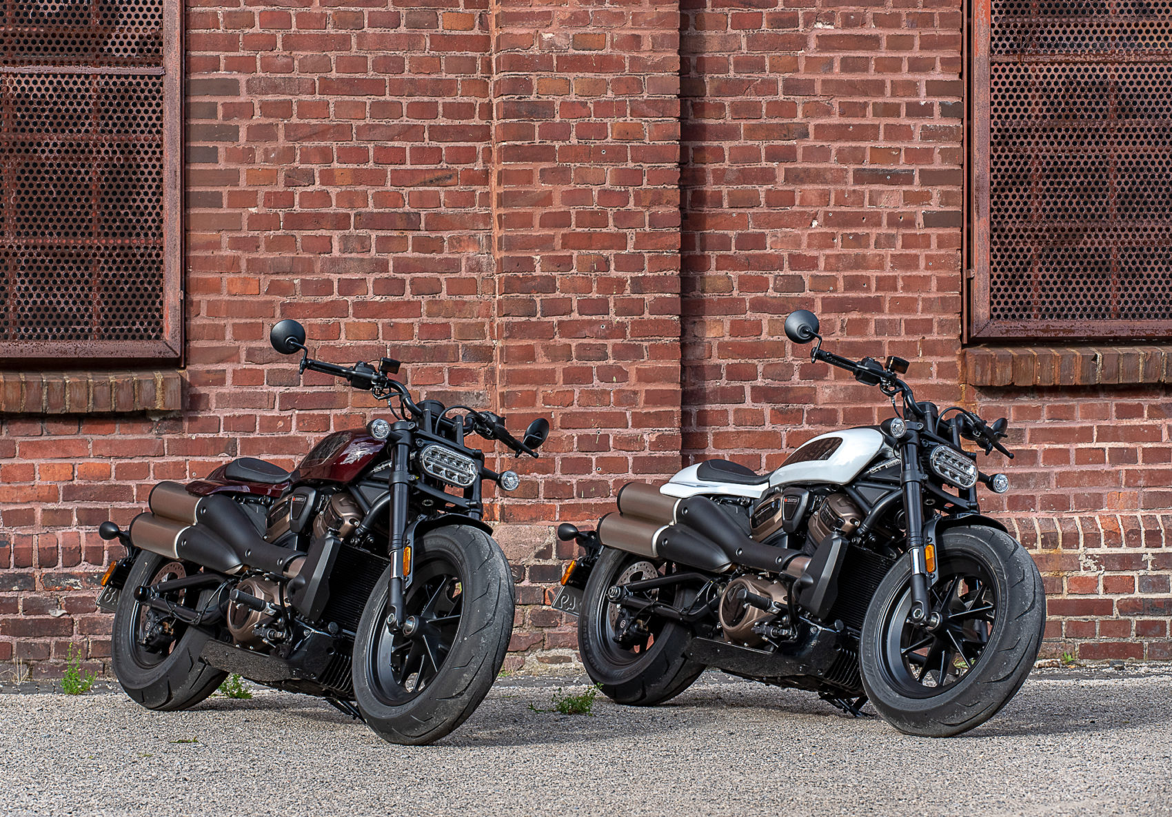 1er contact: Harley-Davidson Sportster 1250 S - Actu Moto